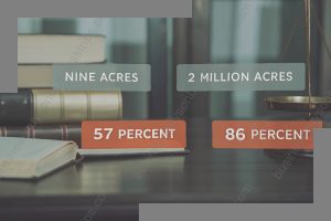 Making Numbers Count in Legal Writing: The Ultimate Guide - Assault Defense